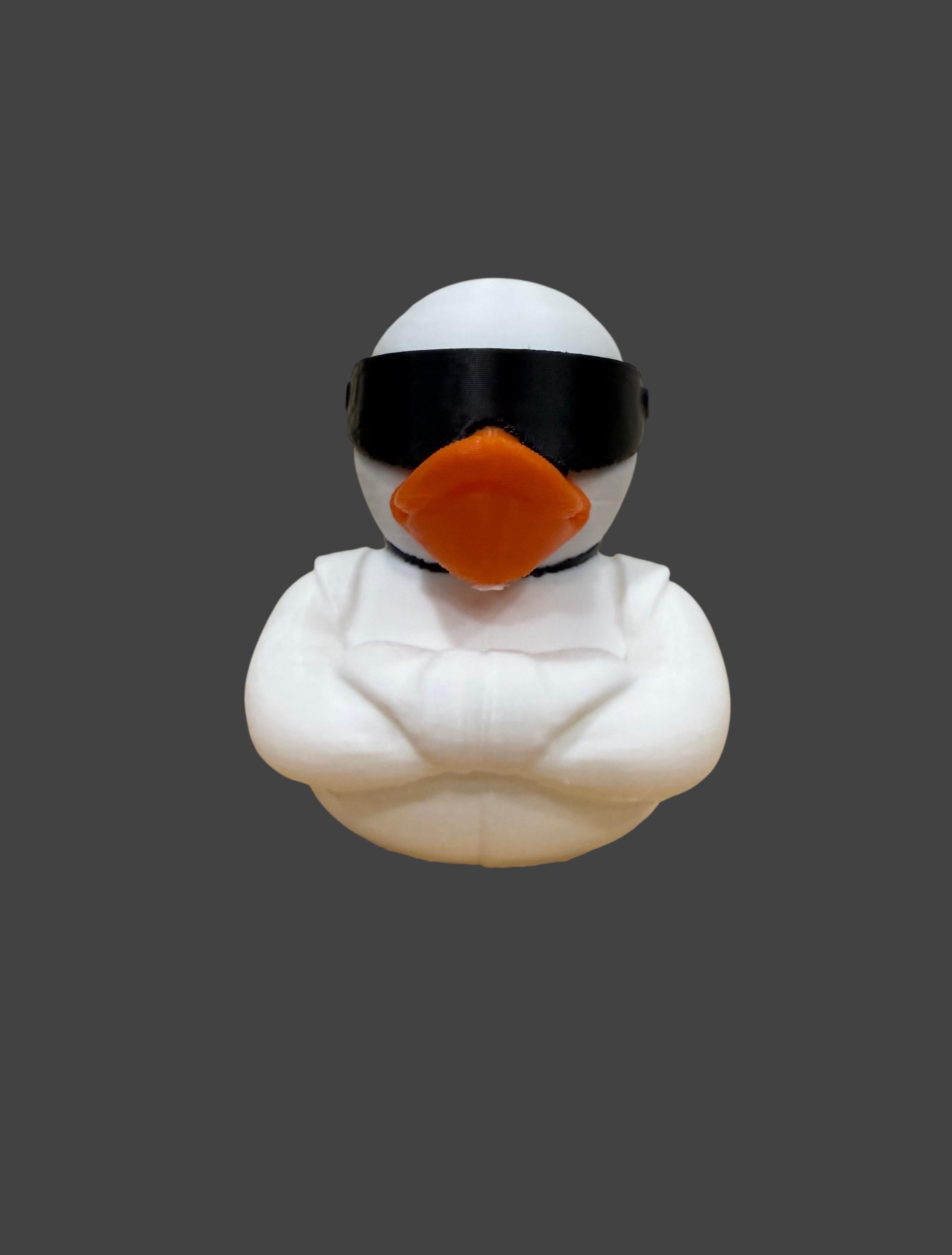 The Stigquack – Silent. Fast. Feathered. (Exclusively designed by KJ C ...
